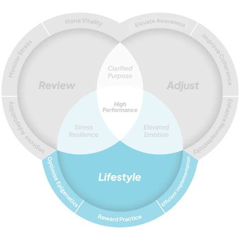 High Performance Model Blue Align Chiropractic