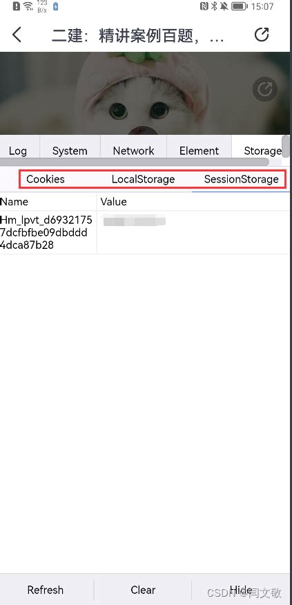 Android清除webview的localstorageandroid Webview Localstorage Csdn博客