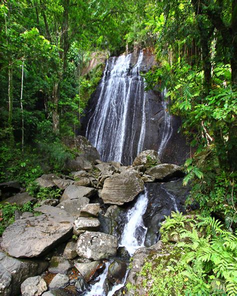 El Yunque Waterfall And Hiking Guide Snorkel And Hike