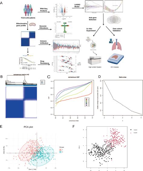 Identification And Validation Of The Mitochondrial Function Related Hub Genes By Unsupervised