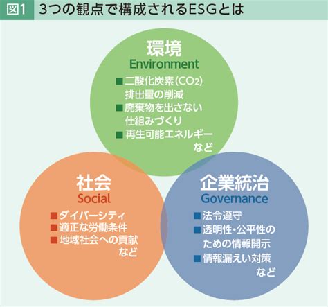 サステナビリティ経営の基礎 企業が進めるべき社会的責任としてのesg経営とは？｜idea4u ｜株式会社フジプラス｜「感動」を「つくる」