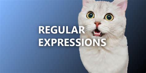 Regular Expressions