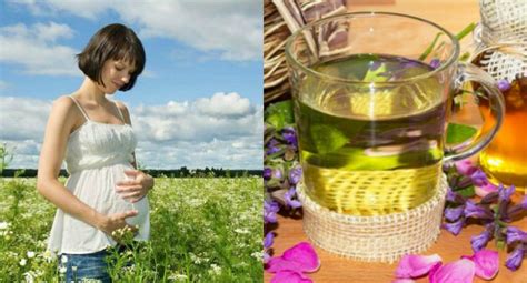 6 შესანიშნავი ხალხური რეცეპტი უშვილობის სამკურნალოდ სასარგებლო რჩევები