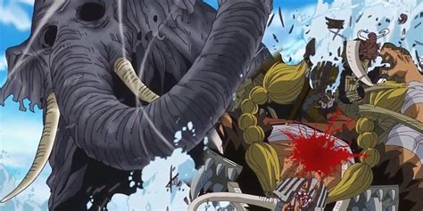 One Piece 10 Things You Didnt Know About The Minks Race