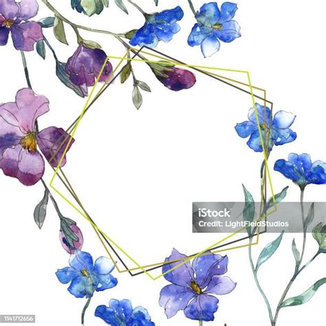 블루 퍼플 아마 꽃 식물 꽃입니다 수채화 배경 그림 집합입니다 프레임 테두리 장식 광장 0명에 대한 스톡 벡터 아트 및 기타