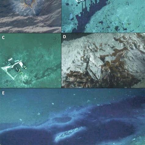 Hydrocarbon Seepage In Guaymas Basin A Classical Hydrothermal Download Scientific Diagram