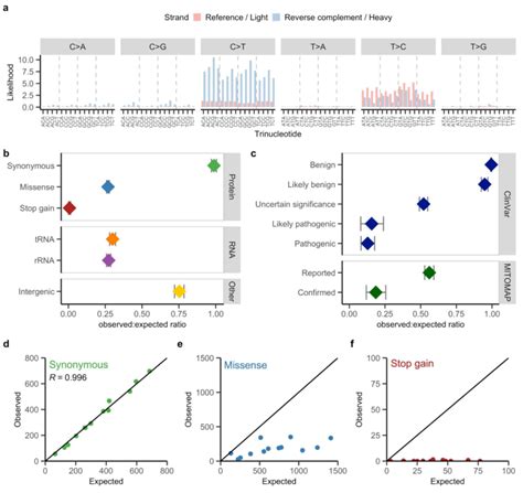 Mutability And Constraint In The Human Mtdna A Trinucleotide Download Scientific Diagram