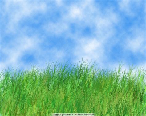 天空草地图片 动漫卡通 插画绘画 图行天下素材网