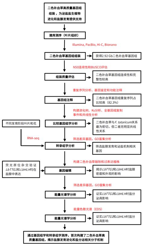 二色补血草高质量基因组揭示盐腺发育和耐盐演化机制 知乎