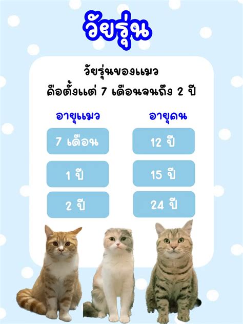 อายุ 25 มีแมว1ตัว🦦 แกลเลอรีที่โพสต์โดย ณฐ Lemon8