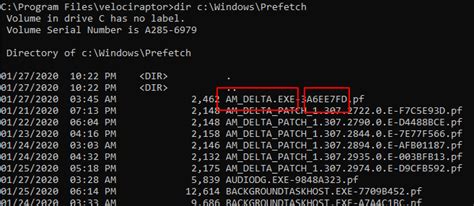 Evidence Of Execution Velociraptor Digging Deeper