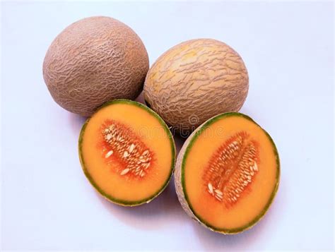 Cantaloupe Melon Fruit Rock Melon Muskmelon Sweet Melon Ambrosia Melon