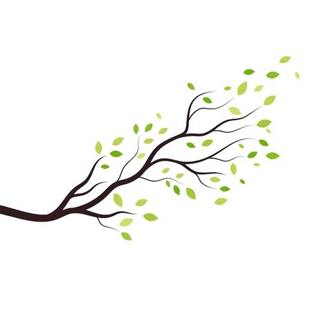 Premium Vector Tree Branch Vector Ilustration Design