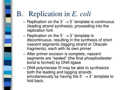 Ppt Dna Replication Powerpoint Presentation Free Download Id 247339