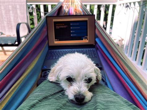 Louis Rosche On Linkedin Continuousimprovement Continuouslearning Continuingeducation…