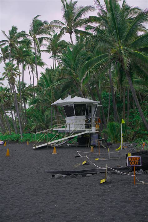 Tulsigabbardhawaiibeach Photos Download The Best Free Tulsigabbard