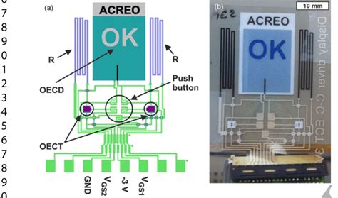 Screen Printed And Monolithically Integrated Display Driver Circuit And Download Scientific