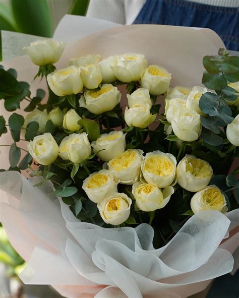 천안 아산 꽃집 고운꽃 프로포즈 꽃다발로 추천해드린 로열파크장미 꽃다발 크림레몬 컬러가 정말 사랑스러워요~ 결혼을 축하드립니다🫶🏻 고운꽃 041