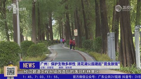 商家被曝双十一商品价格先升后降 消费者遇各类套路该如何维权 荔枝网