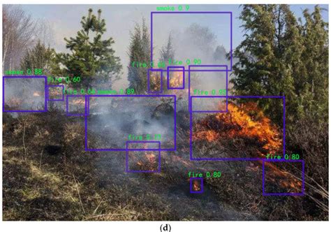 Research On Forest Fire Detection Algorithm Based On Improved Yolov5