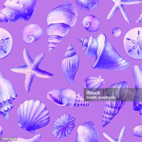 푸른 바다 조개 해양 불가사리 수중 생명 물체와 원활한 패턴 보라색 배경에 격리 된 수채화 손 그린 그림 그림 그림 고풍스런에