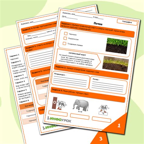 Рабочий лист по географии на тему Почва