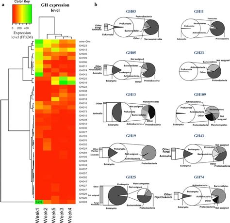 Targeted Metatranscriptomics Of Compost Derived Consortia Reveals A Gh11 Exerting An Unusual Exo