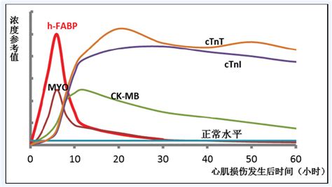 心型脂肪酸结合蛋白图册360百科
