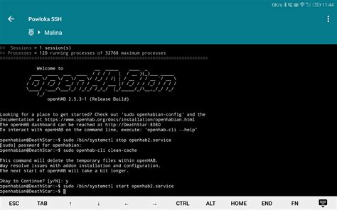 After Upgrade To 253 1 Not Working Installation Openhab Community