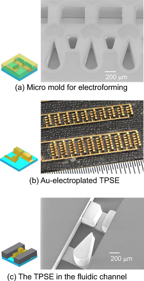 Fabricated Structures With Schematic Diagram Of MEMS Process Download Scientific Diagram