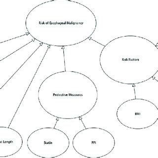 Bayesian Network Version 2 Based On Top 4 Variables Download Scientific Diagram