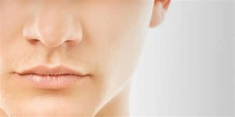 Epidermal Growth Factor Biological Sources Functions And Applications