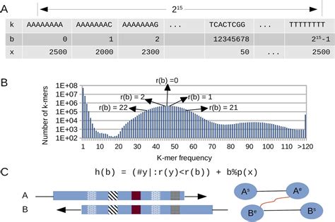 New Algorithms For Accurate And Efficient De Novo Genome Assembly From
