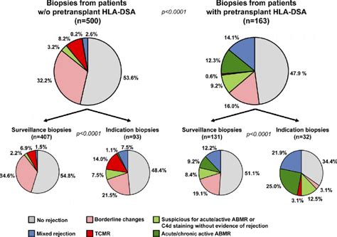 Overview Of Rejection Phenotypes The Distribution Of Rejection Download Scientific Diagram