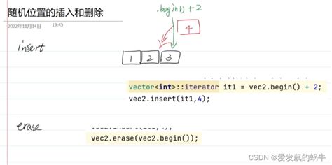 c语言系列10——vector的基本使用 c语言可以用vector吗 csdn博客