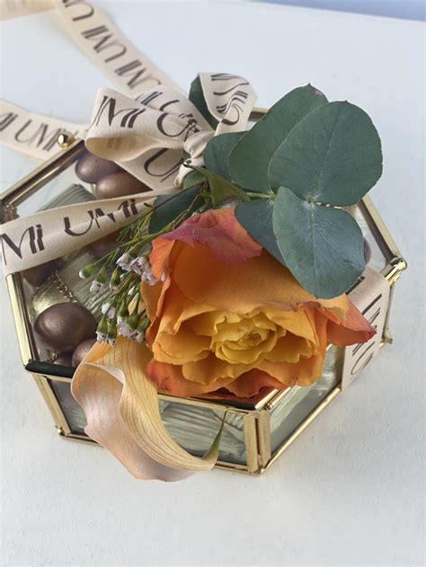 Tiny Bites Cam Çikolata Kutusu