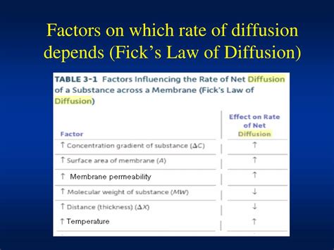 PPT Diffusion Osmosis And Osmotic Pressure PowerPoint Presentation Free Download ID