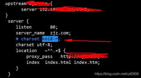 Nginx 反向代理字符集设置错误导致页面乱码网站编码莫名变成koi8 R Csdn博客 Nginx 反向代理字符集设置错误导致页面乱码网站编码莫名变成koi8 R Csdn博客