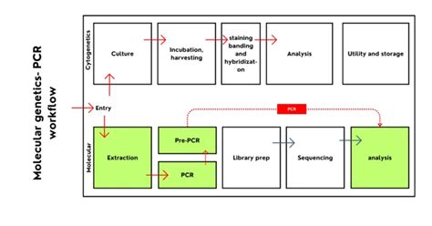 Genetic Lab Tour 101 Departments Workflow And Testing Genetic Education