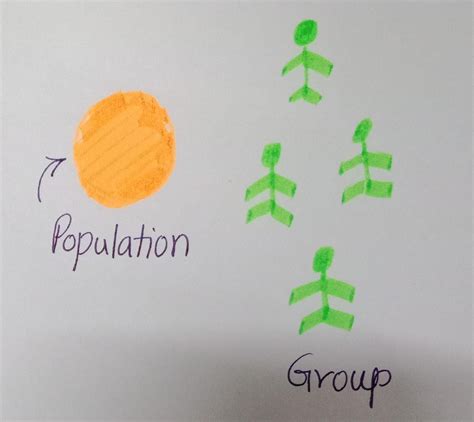 Data Science Simplified A Beginners Guide To T Tests Real Life Applications Of T Test One