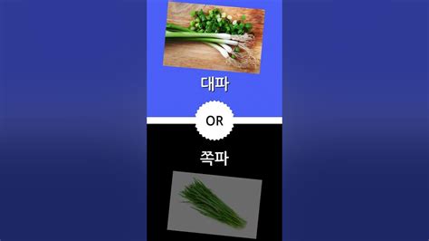 밸런스 게임 No 27 둘 중의 하나 당신의 선택과 대중의 선택은 어떻게 다를까 Youtube