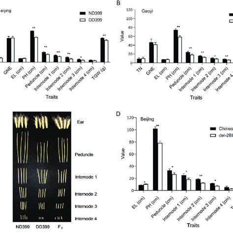 Zhiyong Liu Professor Full Ph D Institute Of Genetics And Developmental Biology Cas