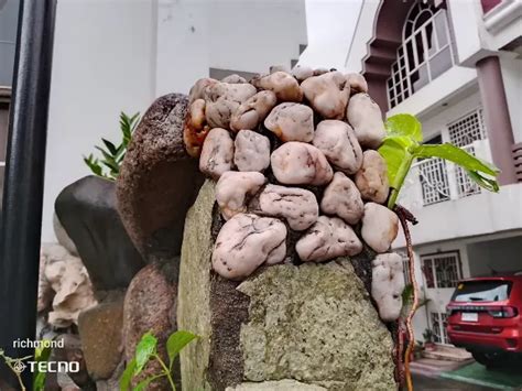 Kelebihan Dan Kekurangan Tecno Spark Go