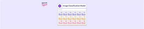 Image Classification Using Pytorch Lightning Scaler Topics