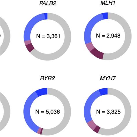 Clinvar Variants In Commonly Sequenced Genes The Number Of Variants Download Scientific