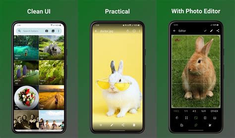 I Tested Fossify Gallery To See If Its The Perfect Replacement For Simple Gallery I Tested Fossify Gallery To See If Its The Perfect Replacement For Simple Gallery