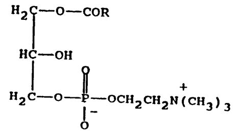 Ep0608511a2 Utilization Of Lysolecithins In The Treatment Of Male Impotence And Alopecia And
