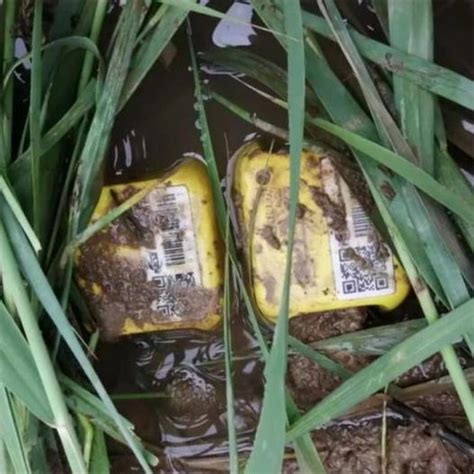 Nodal Seismometer Node Seismograph Cable Free Seismic Sensor Gps Seismic Station Wireless