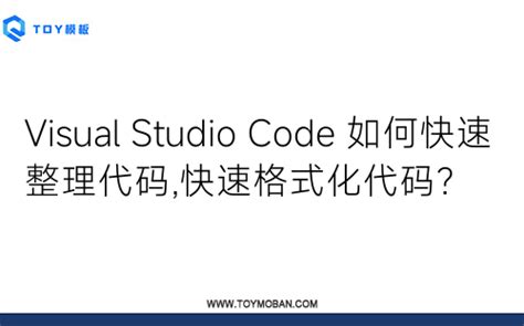Visual Studio开发工具教程与实践经验 Toy模板网