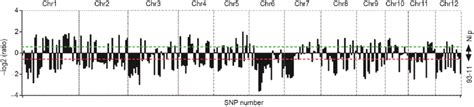 Distribution Of Segregation Distortions Along Chromosomes The Y Axis